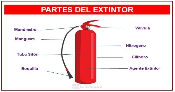 Partes De Un Extintor Buscar Con Google Artculos El Sistema Digestivo